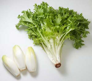 Endive