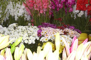 Mercados of San Miguel de Allende